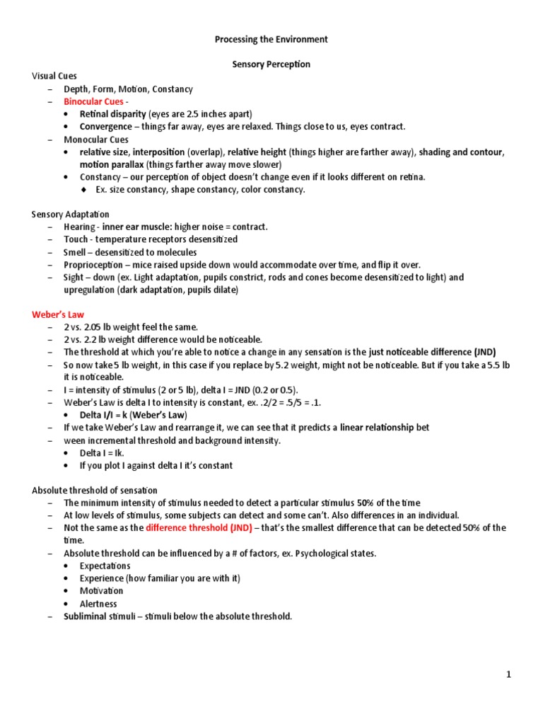 KA P - S - The Lazy OCD Version | PDF | Sleep | Auditory System