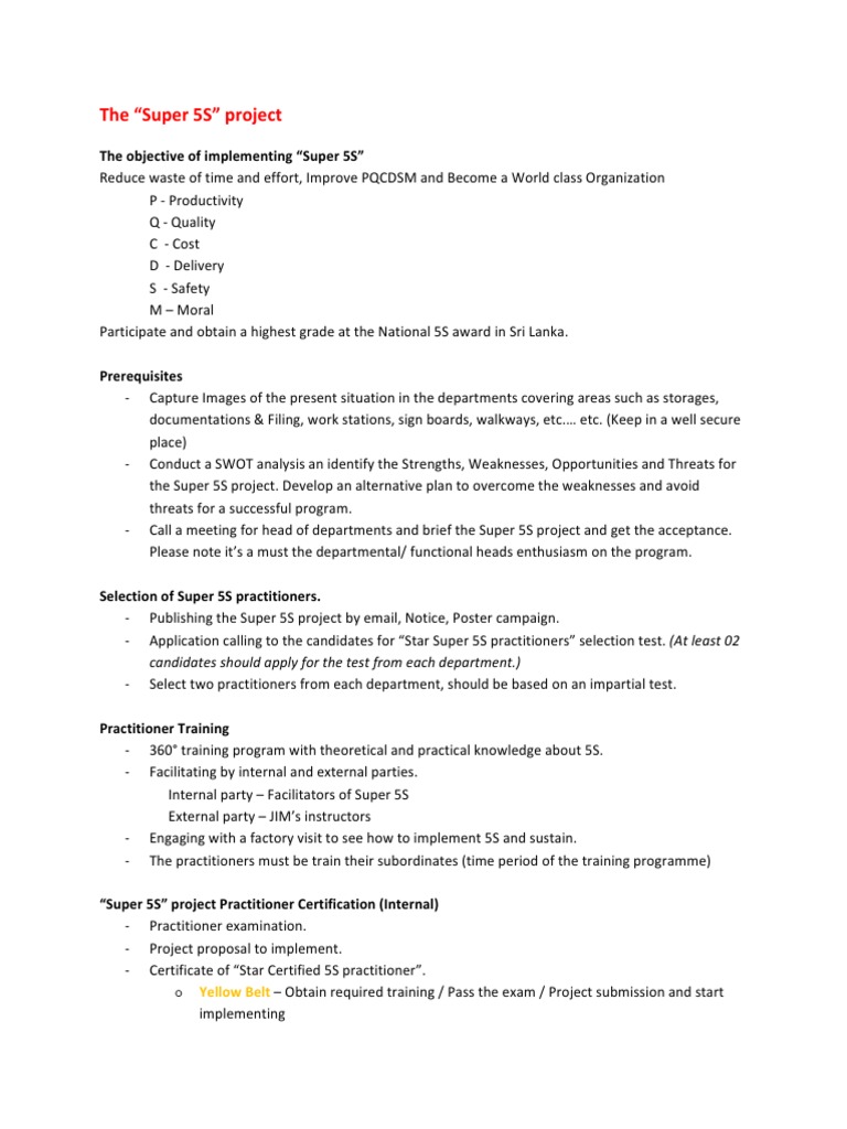 Super 5S Roadmap (Ver 1.0) | PDF | Audit | Business