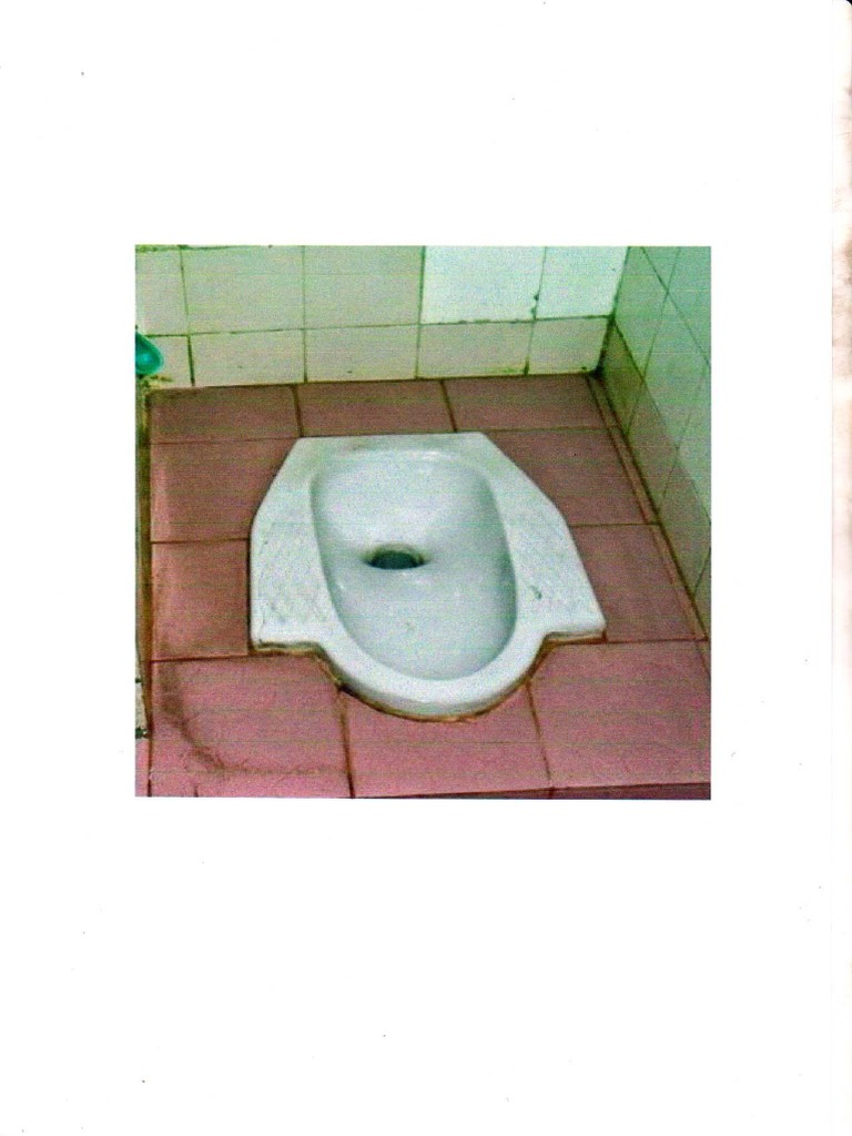 Toilet | PDF