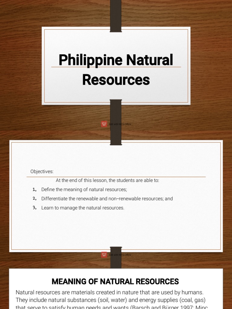 Philippine Natural Resources Report (3) - 020629 | PDF | Natural ...