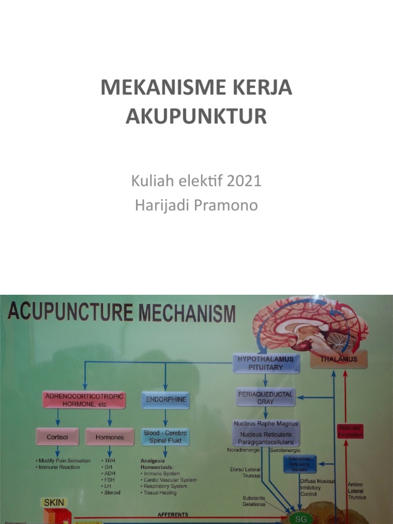 KULIAH Mekanisme Akupunktur | PDF