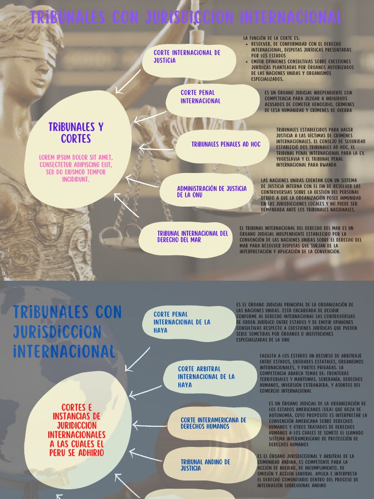 Tribunales Con Jurisdiccion Internacional | PDF | Judicaturas ...