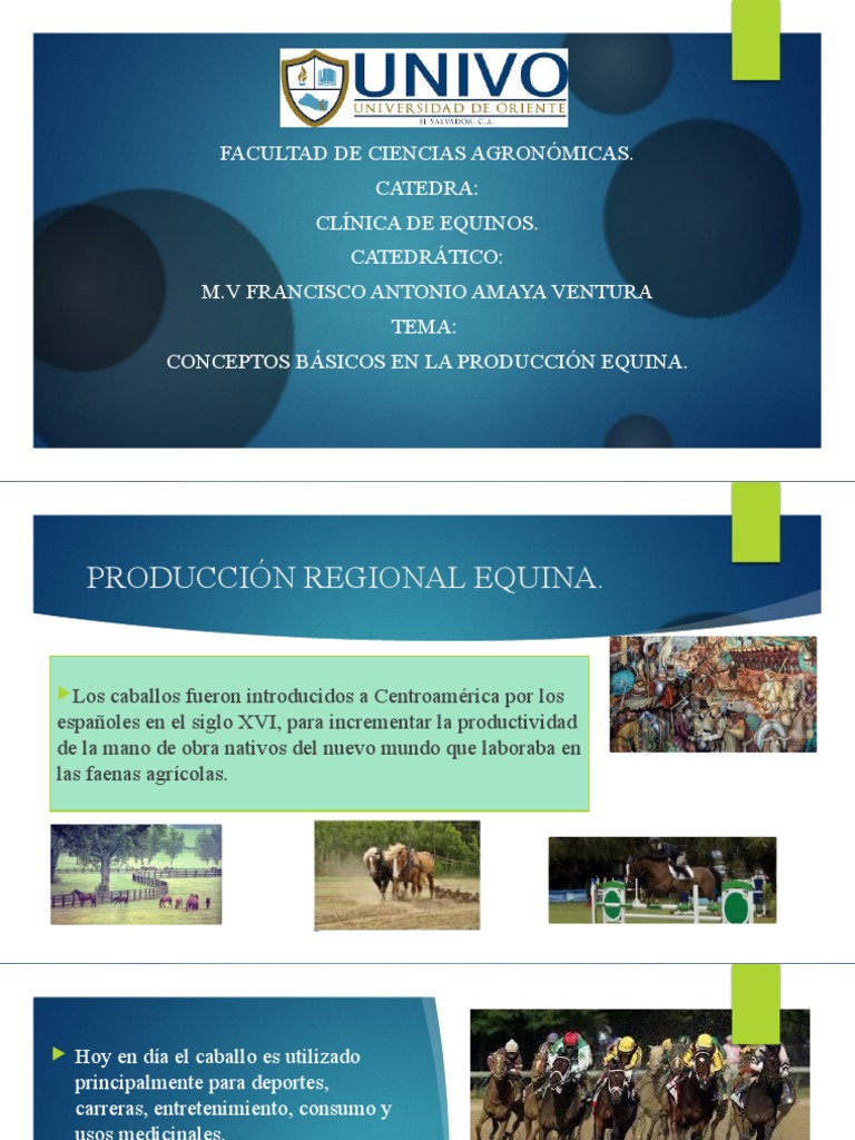 Producción y Uso de Caballos en Centroamérica | PDF | Ecuestre | Caballos