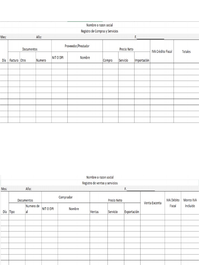 Formato Compras y Ventas | PDF