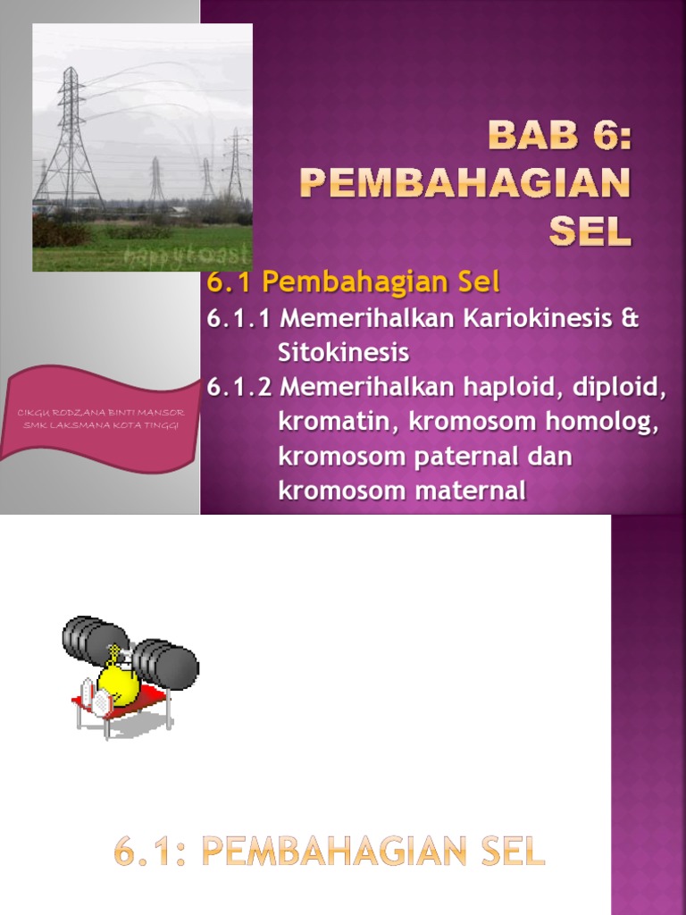 6 Pembahagian Sel | PDF