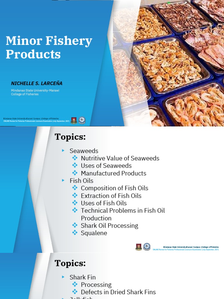 Overview of Minor Fishery Products | PDF | Seaweed | Algae