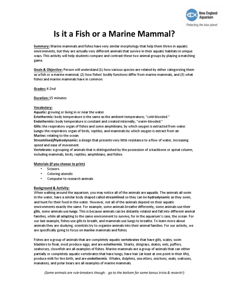 Distinguishing Fish from Marine Mammals | PDF | Fish | Marine Mammals