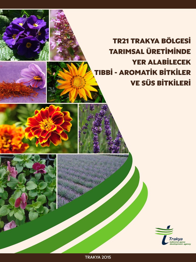 Aromatik Bitkiler Ve Süs Bitkileri (PDFDrive) | PDF