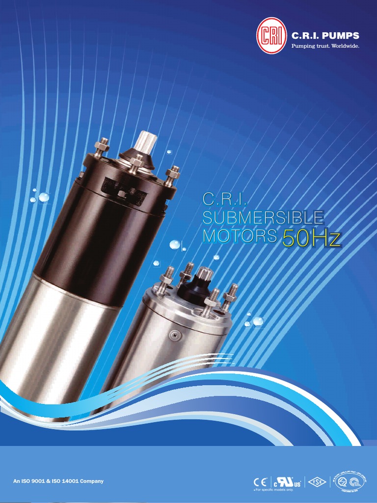 Deepwell Submersible Motor | PDF | Electric Motor | Bearing (Mechanical)