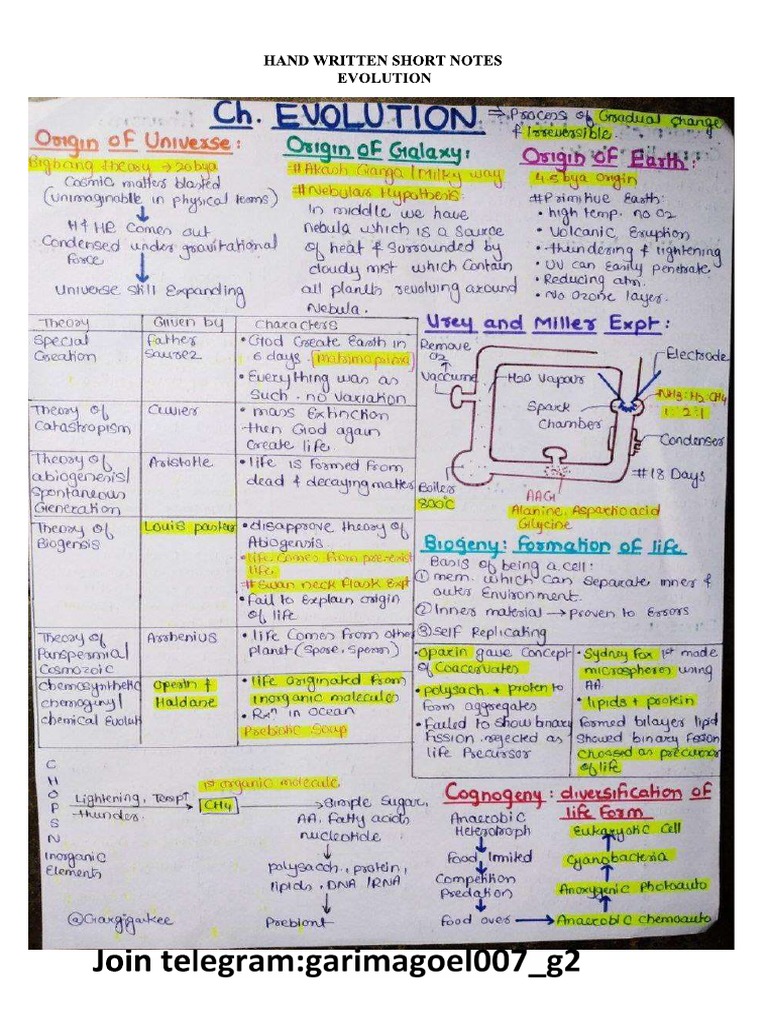 Evolution Class 12th Chapter 7 | PDF