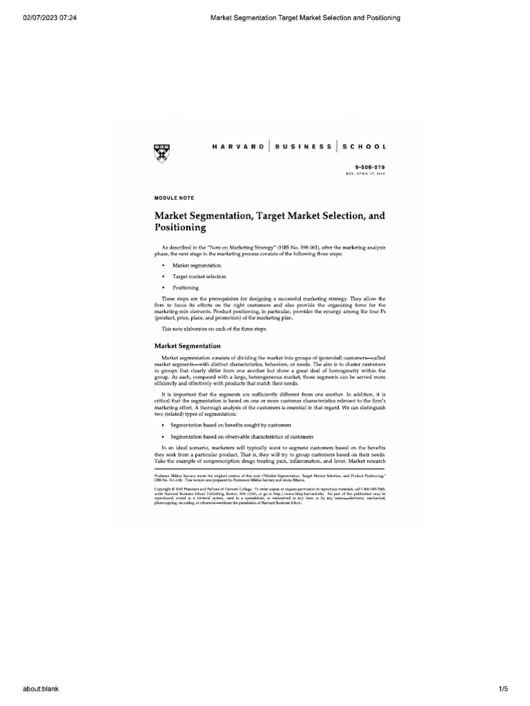 Market Segmentation, Target Market Selection, and Positioning | PDF