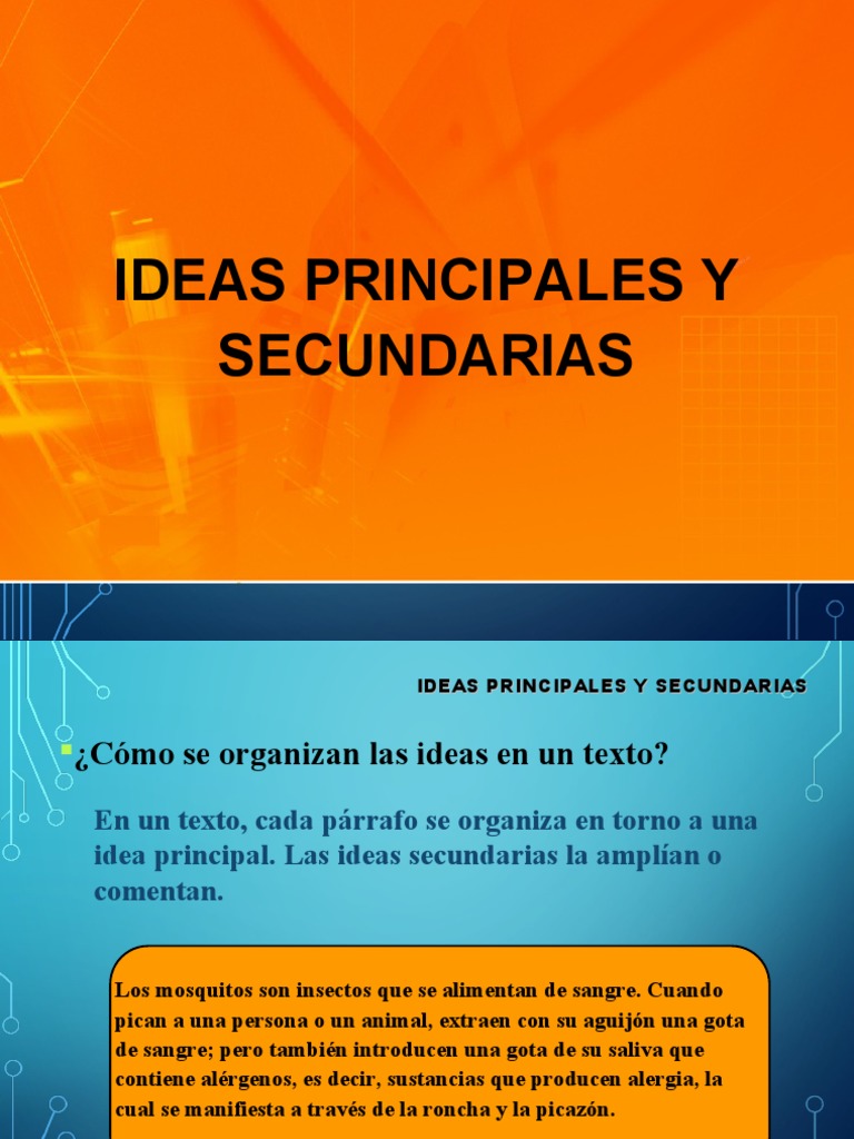 Identificación de Ideas Principales y Secundarias | PDF | Relaciones ...