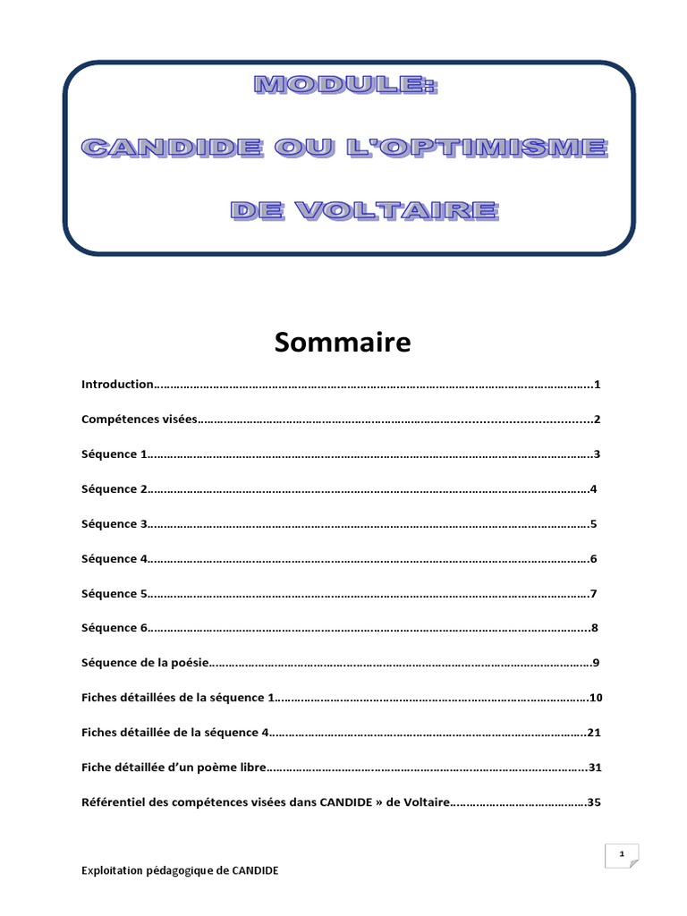 MODULE CANDIDE Voltaire | PDF