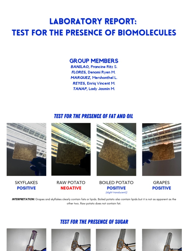 LAB REPORT Test For The Presence of Biomolecules | PDF