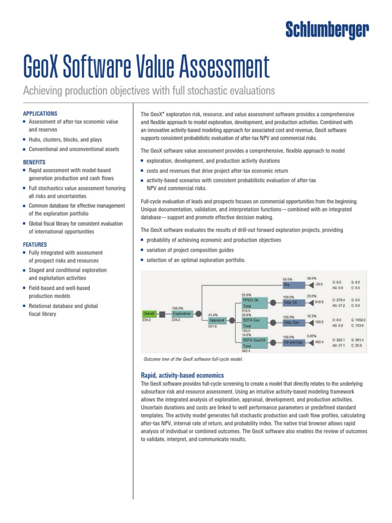 Geox Software Value Assessment | PDF | Risk | Uncertainty