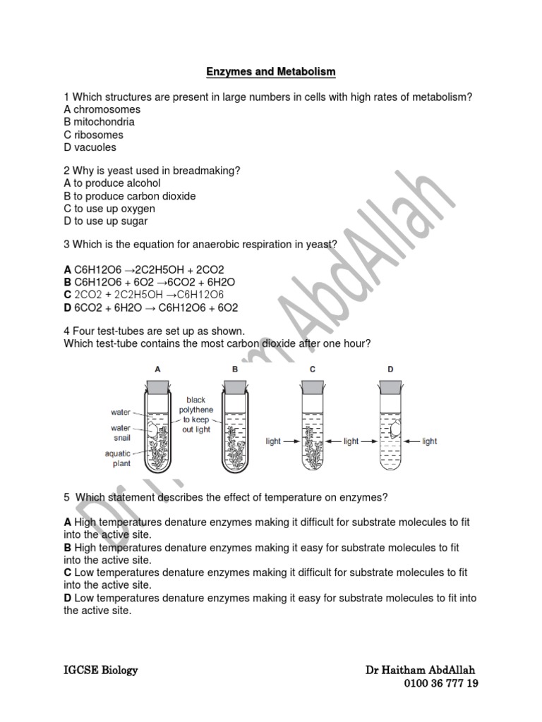 Classified - Enzymes and Metabolism - DR Haitham AbdAllah | PDF ...