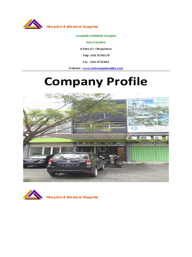 Company Profile 2021 | PDF