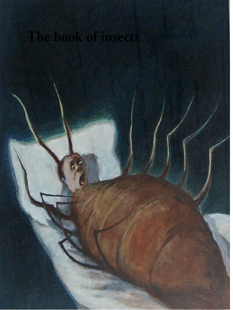 The Book of Insects | PDF