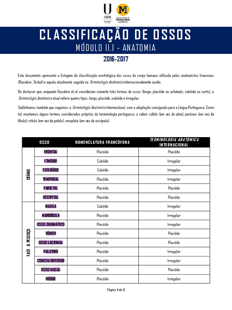 Classificação de Ossos | PDF