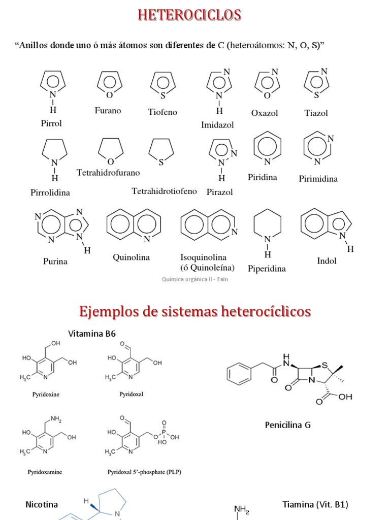 Heterociclos y su Química Avanzada | PDF