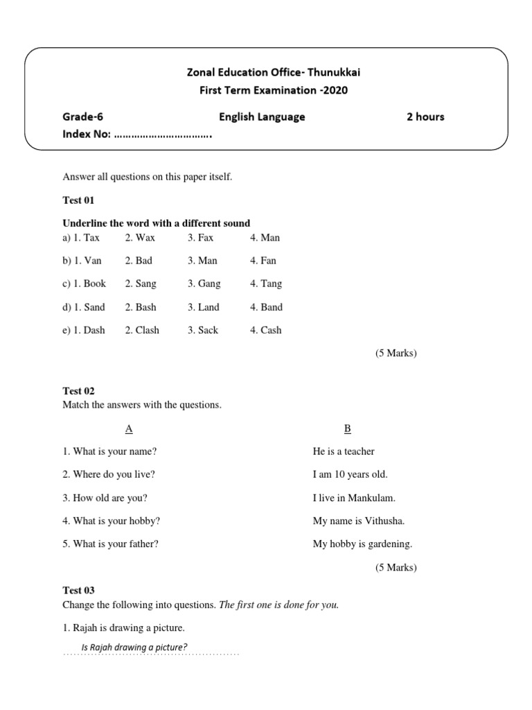 Grade 6 - English - First Term 2020 | PDF
