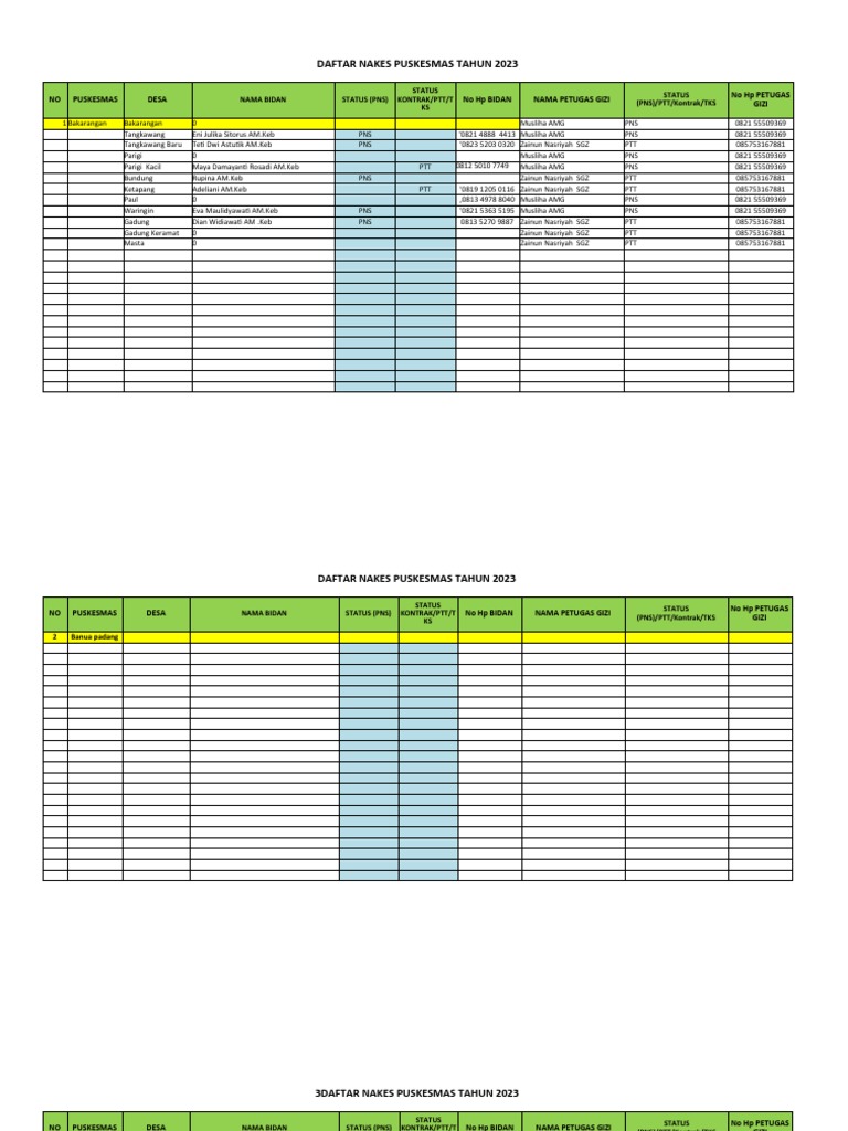 Data Nakes TH 2023 Kesga Dan Gizi-1 Hatungun | PDF