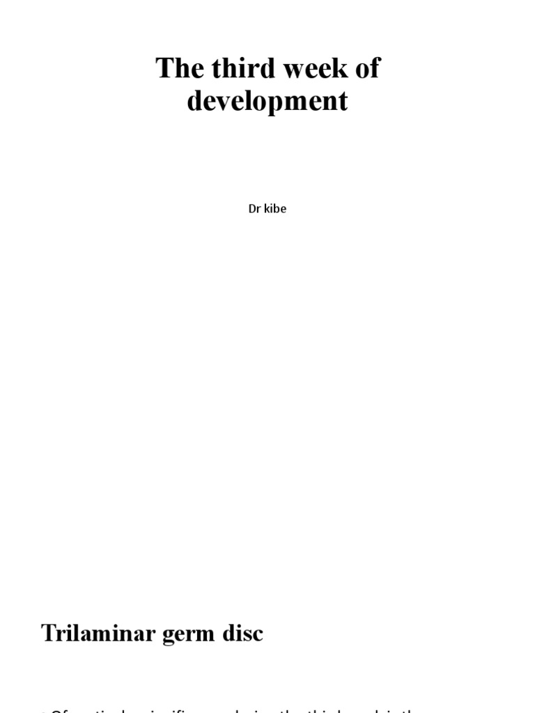 Week 3 Embryonic Development Overview | PDF | Biological Processes | Change