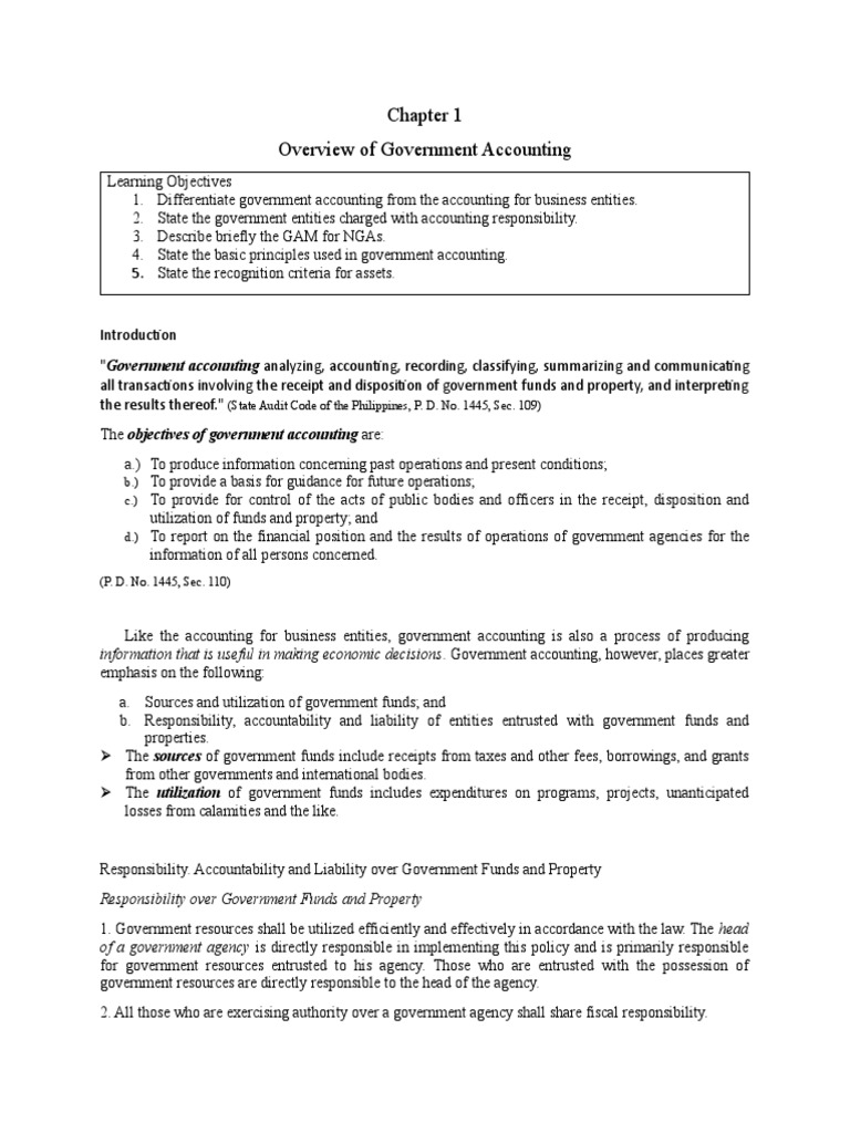 Overview of Government Accounting Principles | PDF