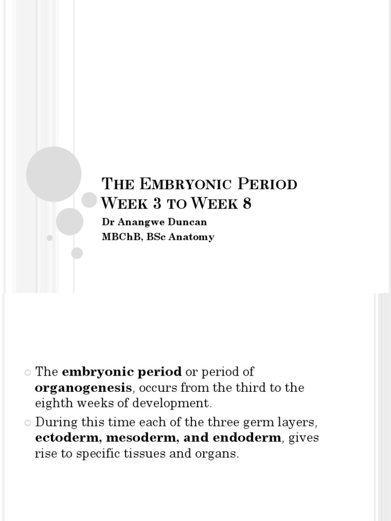 DR - Anangwe-The Embryonic Period | PDF