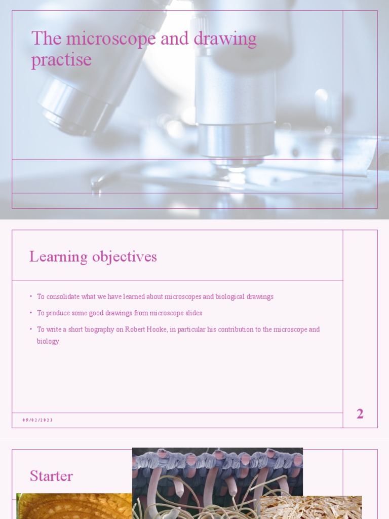 KS Drawing Practise and Robert Hooke | PDF | Drawing | Microscope