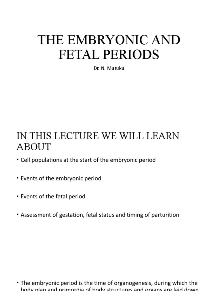 T2L2 EMBRYONIC AND FETAL PERIOD | PDF | Fetus | Pregnancy
