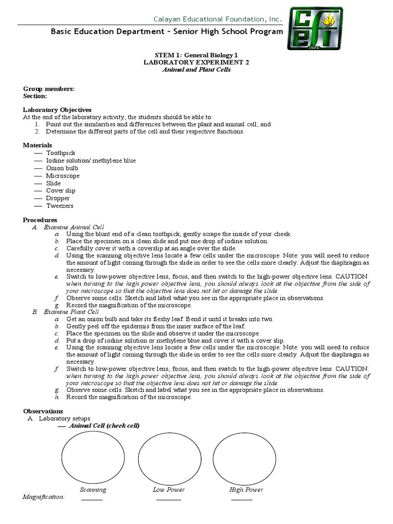 Oxtvn2ddw Lab Experiment 2 And 3 Pdf