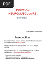 Les Curares | PDF | Acétylcholine | Synapse