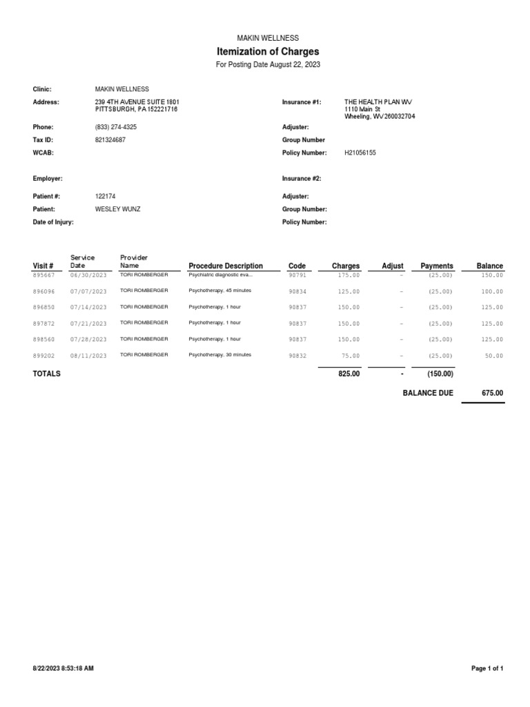 W. Wunz Itemization | PDF