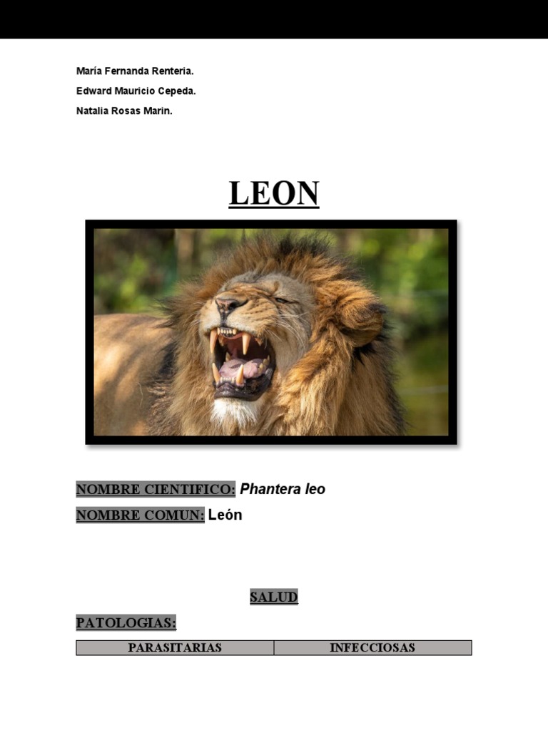 LEON | PDF | León | Comportamiento