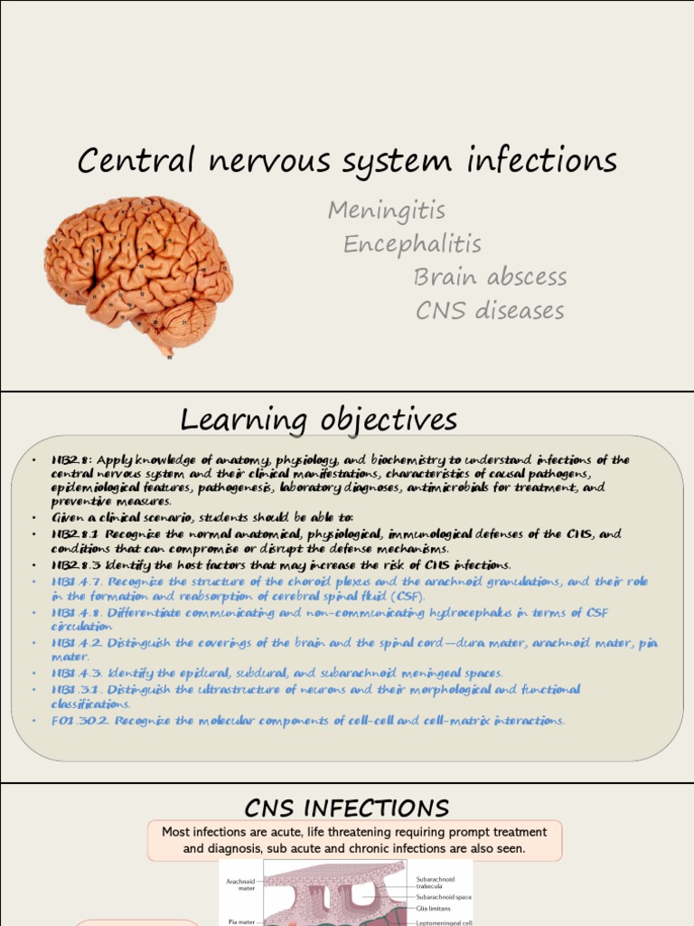 CNS - Infections F2022 OVER VIEW | PDF | Cerebrospinal Fluid | Central ...