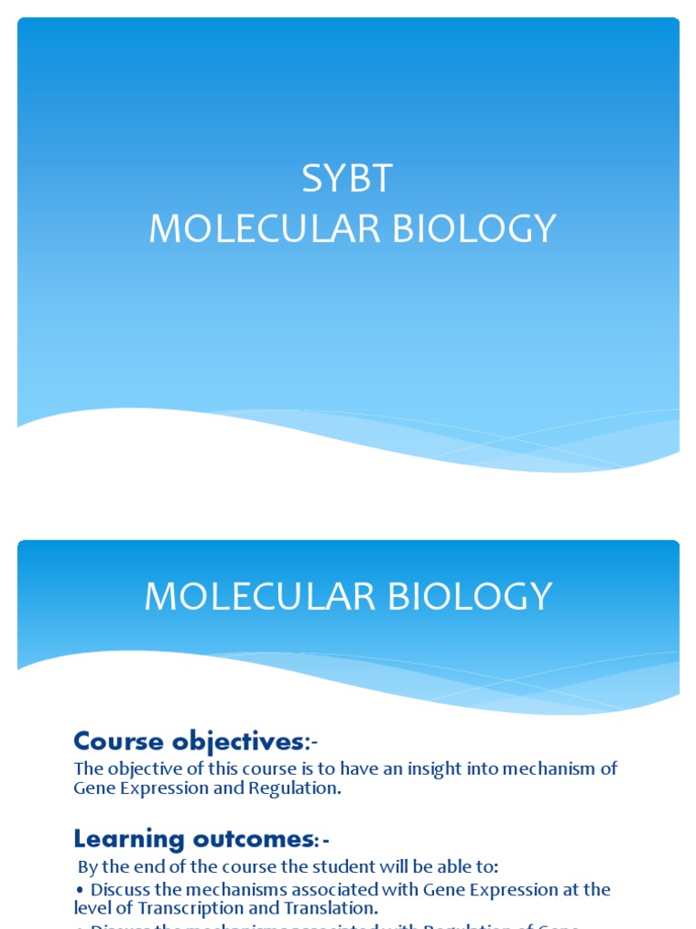 SYBT Transcription | PDF | Messenger Rna | Rna