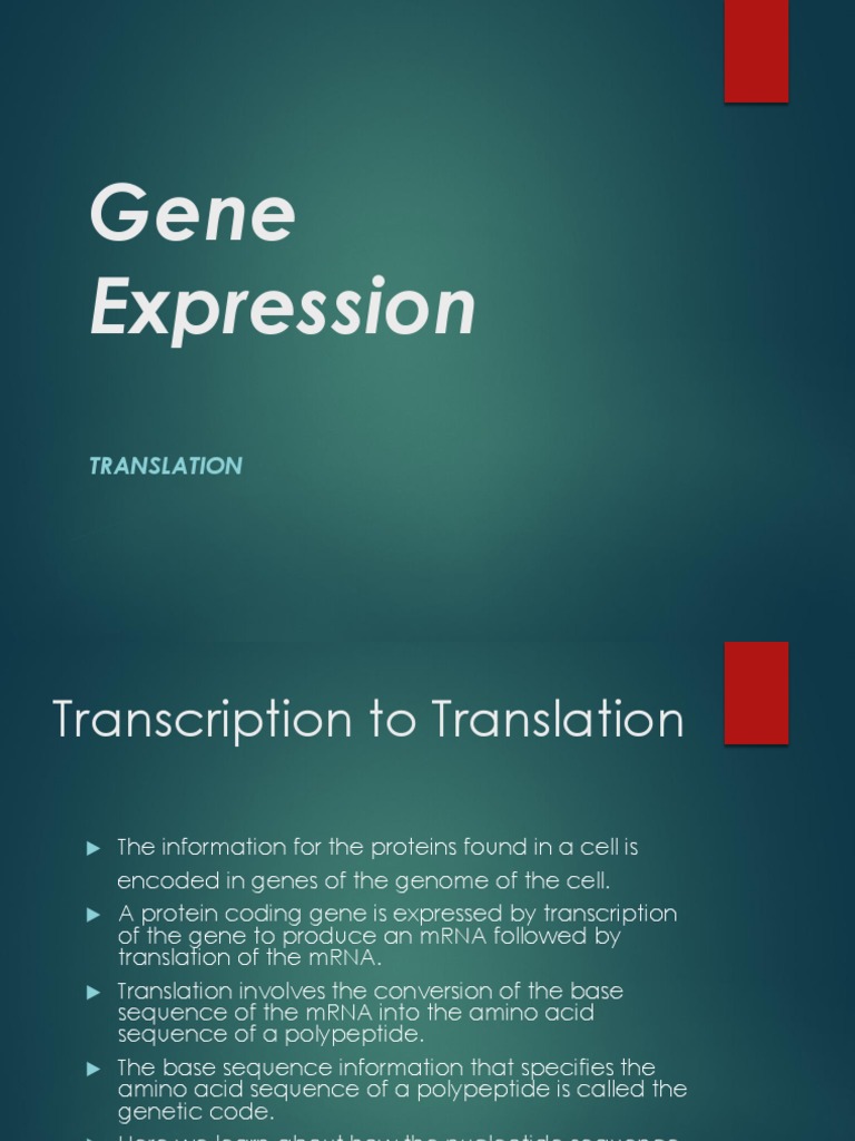 SYBT Sem III Unit II Translation | PDF | Translation (Biology) | Ribosome SYBT Sem III Unit II Translation | PDF | Translation (Biology) | Ribosome