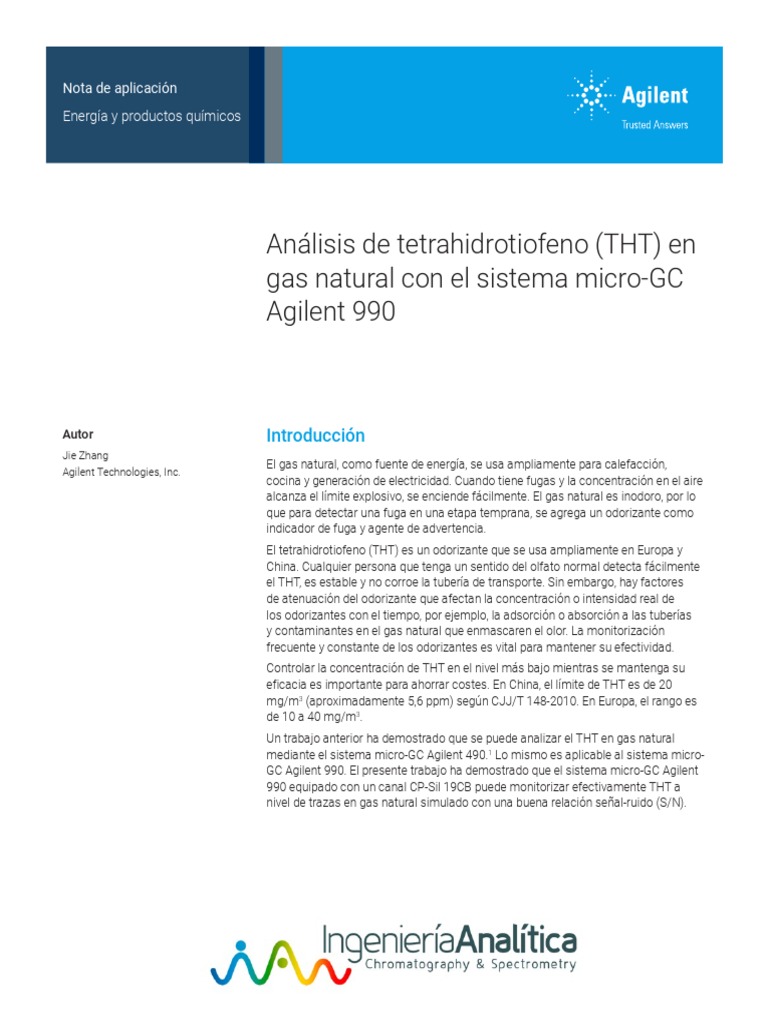 Application THT in Natural Gas - Es | PDF | Gas natural | Ciencias fisicas