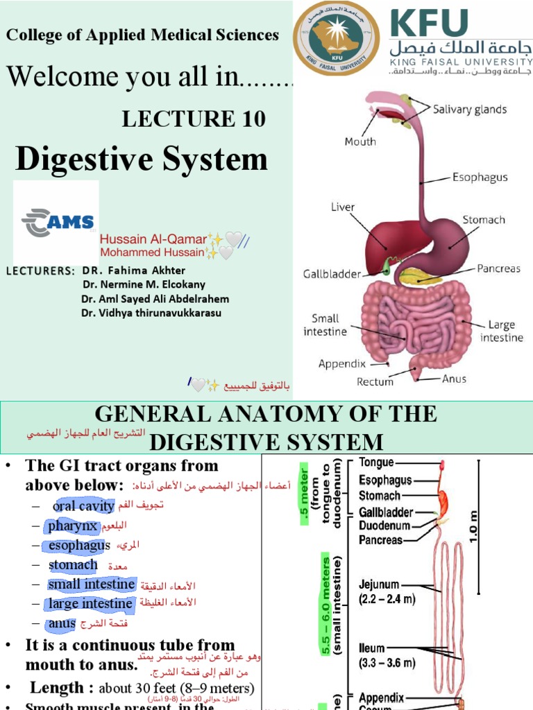 Review - Final Exam 2 | PDF