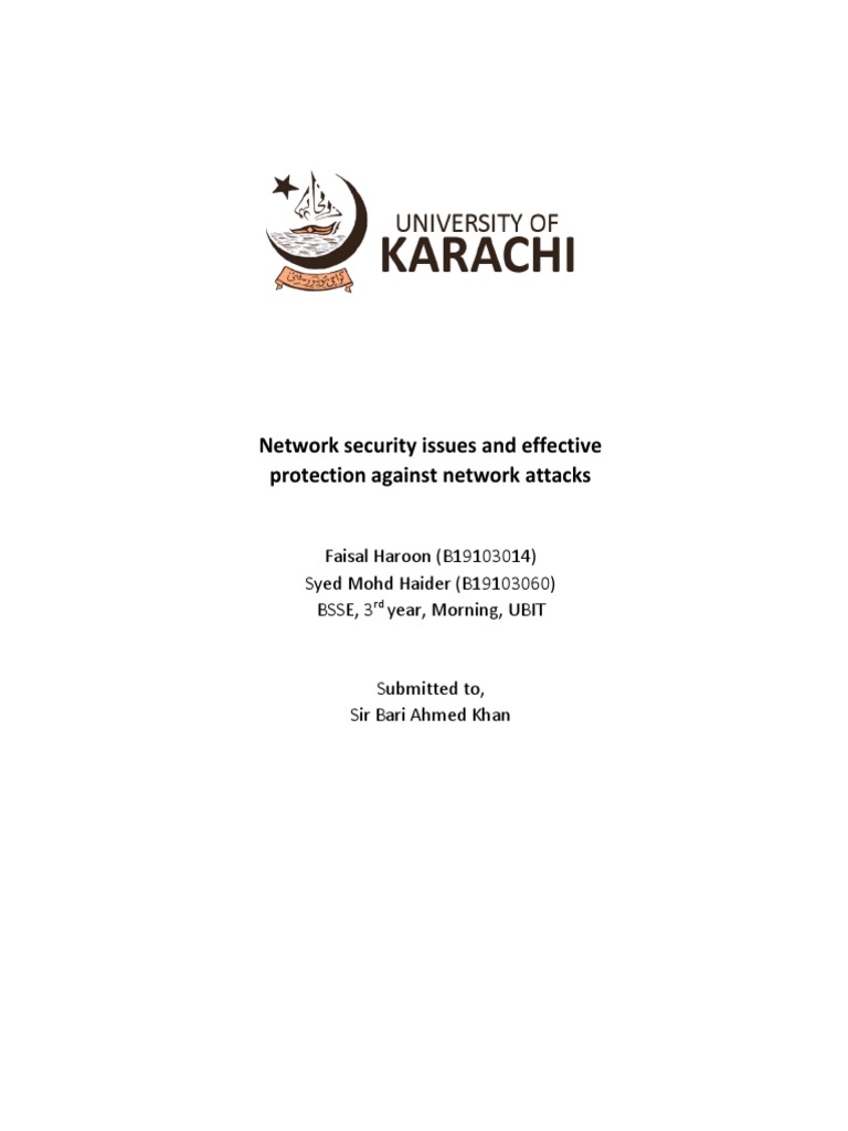 Network Security Issues and Effective Protection Against Network ...