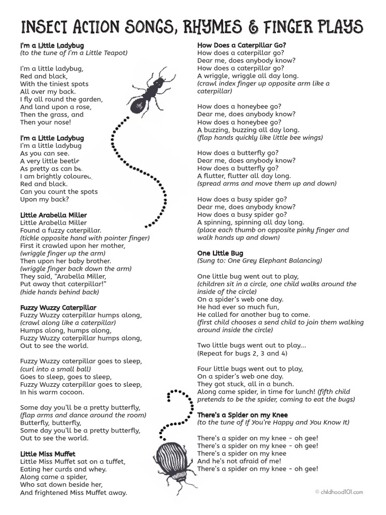 Insect Songs & Rhymes for Kids | PDF | Beehive | Insects