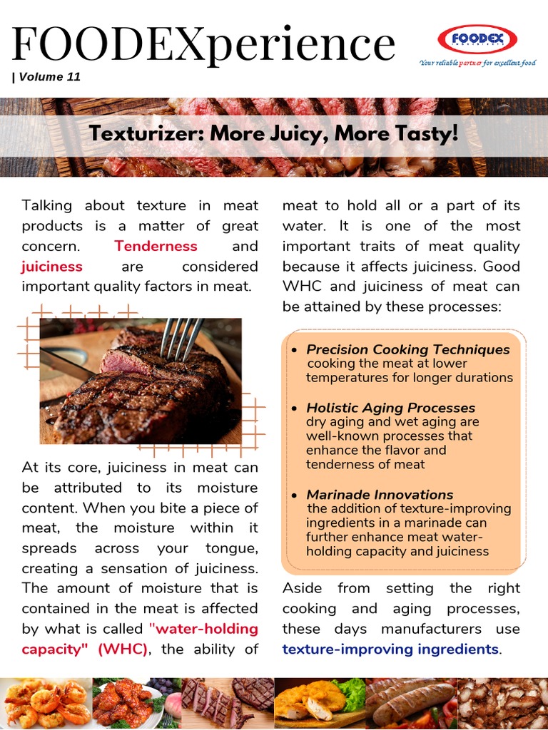 FOODEXperience Vol. 11 - Texturizer | PDF | Meat | Cooking