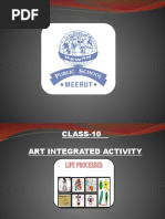 Science Portfolio Class 10-Compressed | PDF | Redox | Chemistry