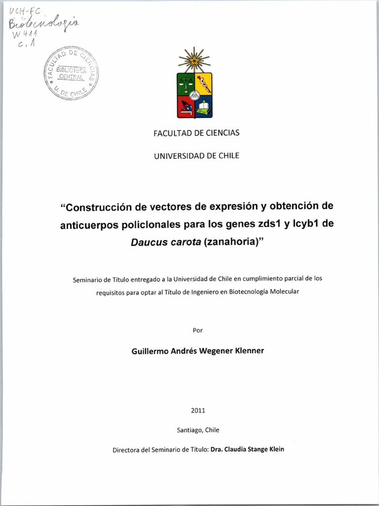 Construccion de Vectores de Expresion y Obtencion | PDF Construccion de Vectores de Expresion y Obtencion | PDF