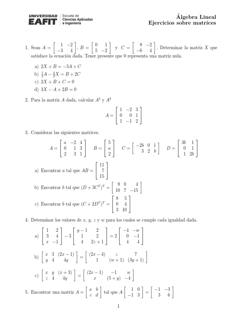 Ejercicios Álgebra Lineal Matrices | PDF | Matriz (Matemáticas ...