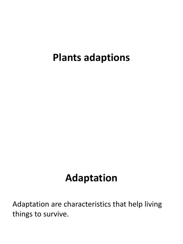 Plants Adaptations | PDF