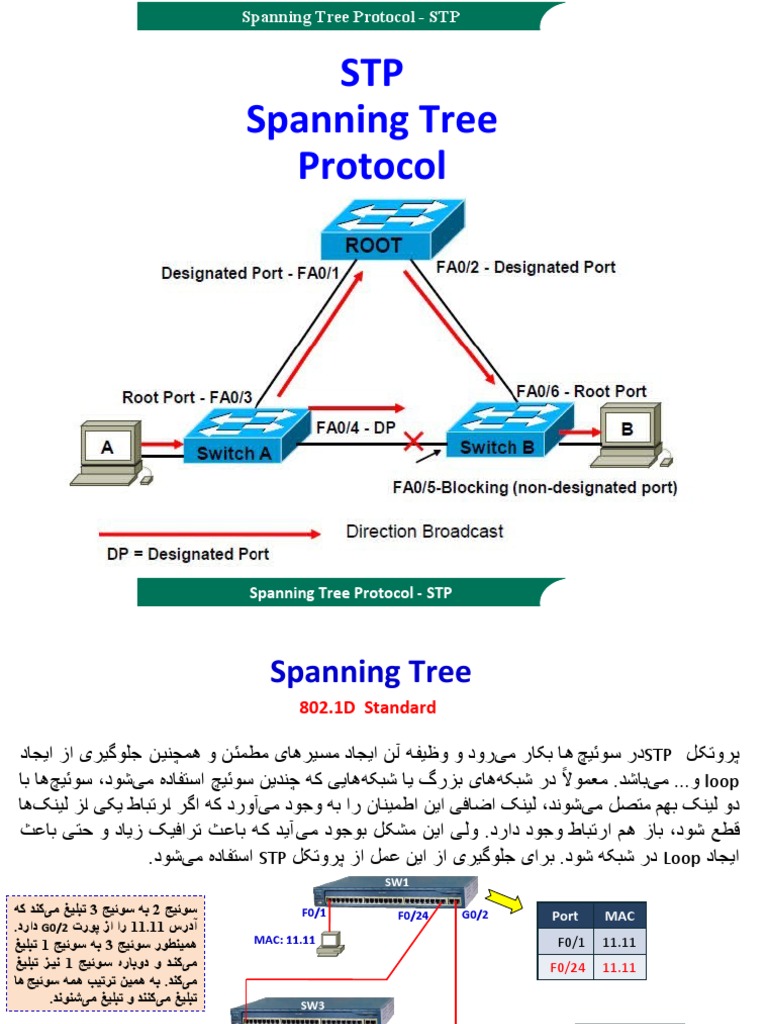 S&R STP | PDF