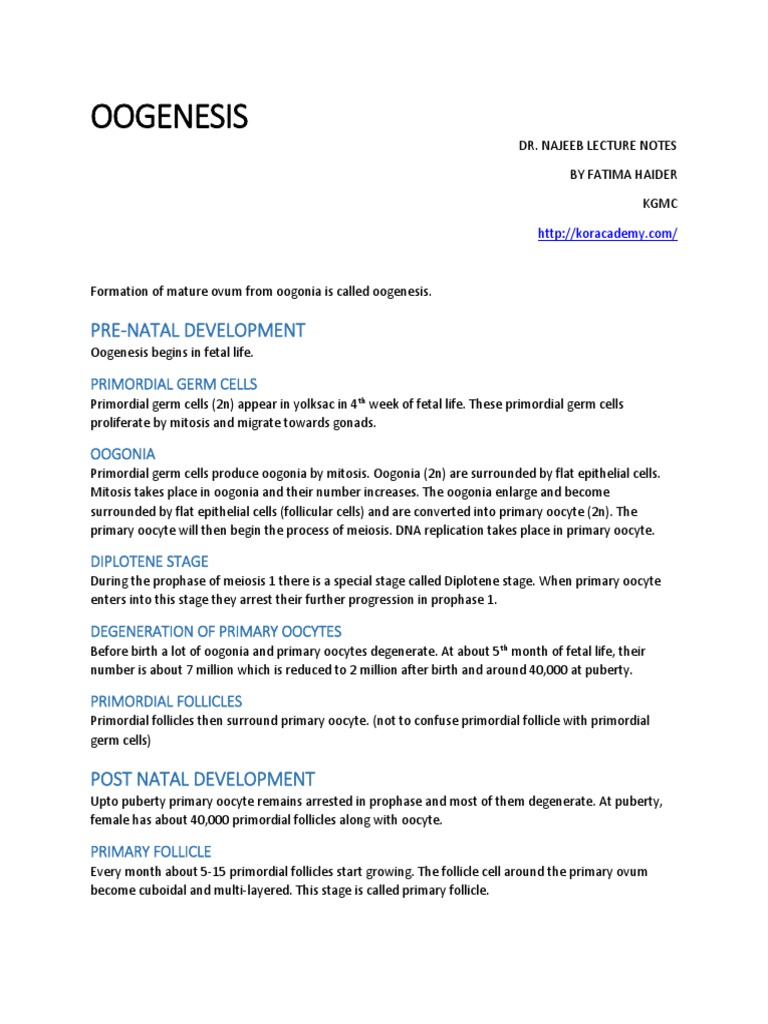 04 - Oogenesis | PDF | Meiosis | Animal Anatomy