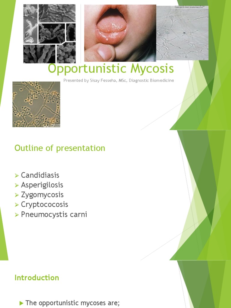 Opportunistic Mycosis | PDF | Candidiasis | Aspergillus